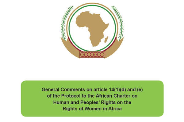 Official Launch Of The General Comments To Article 14 1 D And E Of